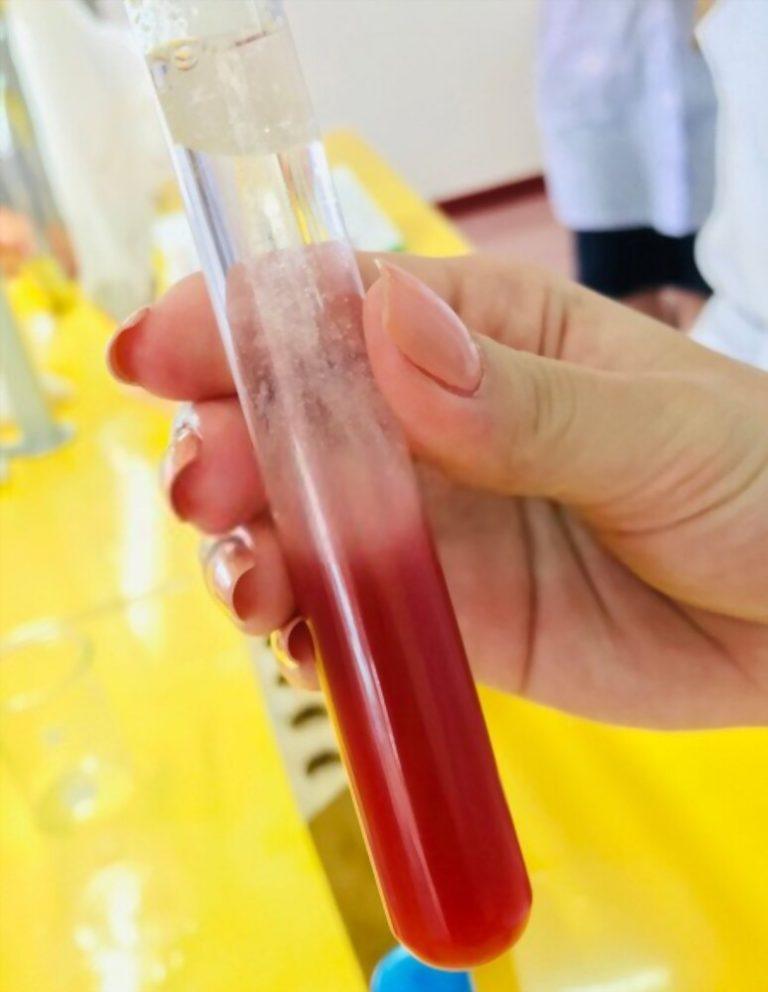 30 Inventive 6th Grade Science Projects - An Everyday Story