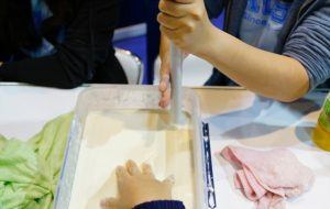 30 Inventive 6th Grade Science Projects - An Everyday Story