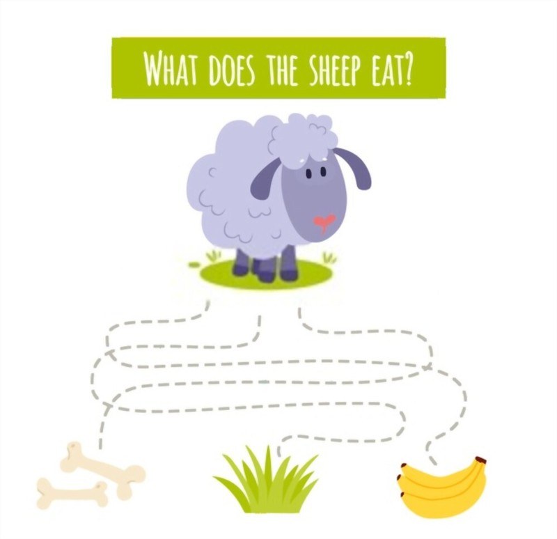 31 Best 7th-grade Math Games - An Everyday Story