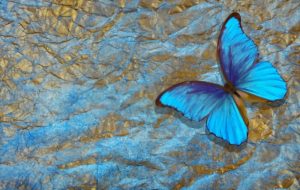 30 Amazing 7th Grade Art Projects - An Everyday Story