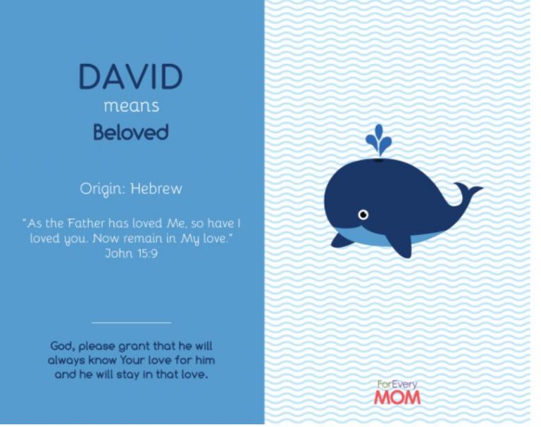 100 David Name Meaning - An Everyday Story